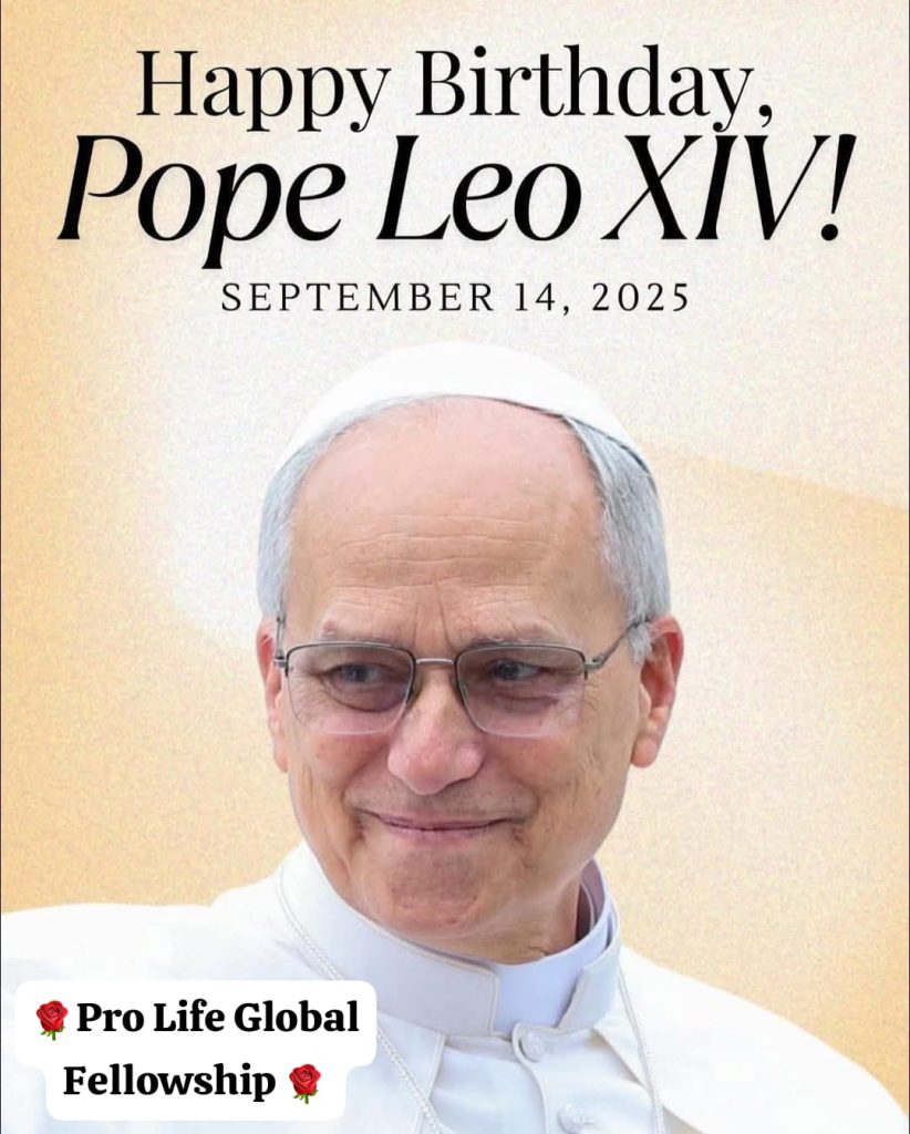 70 ന്റെ നിറവിൽ പാപ്പ ... | POPE LEO XIV WILL CELEBRATE HIS 70TH ...